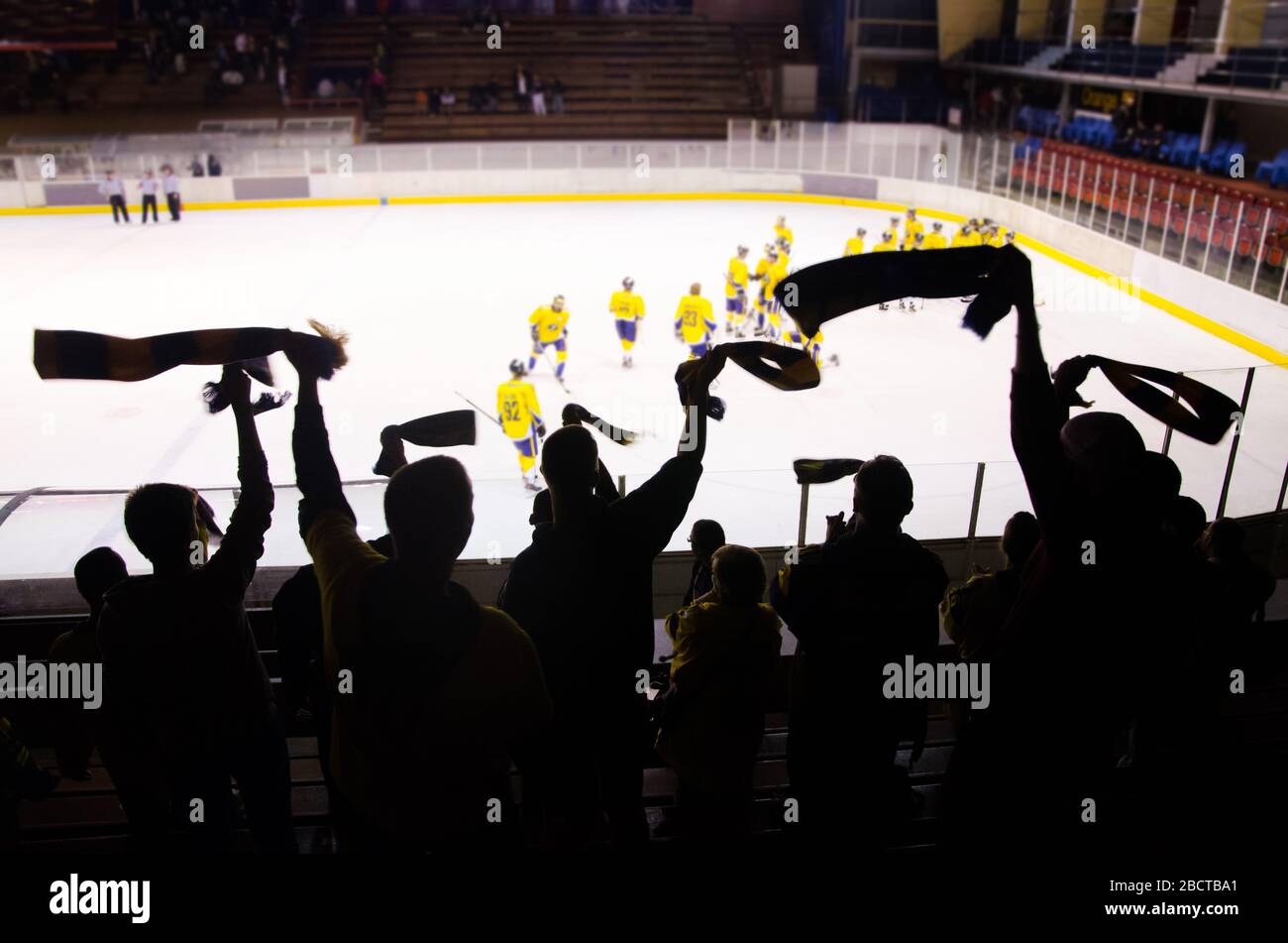 Hockey fan standing and applause on the stadium in after goal - sport ...