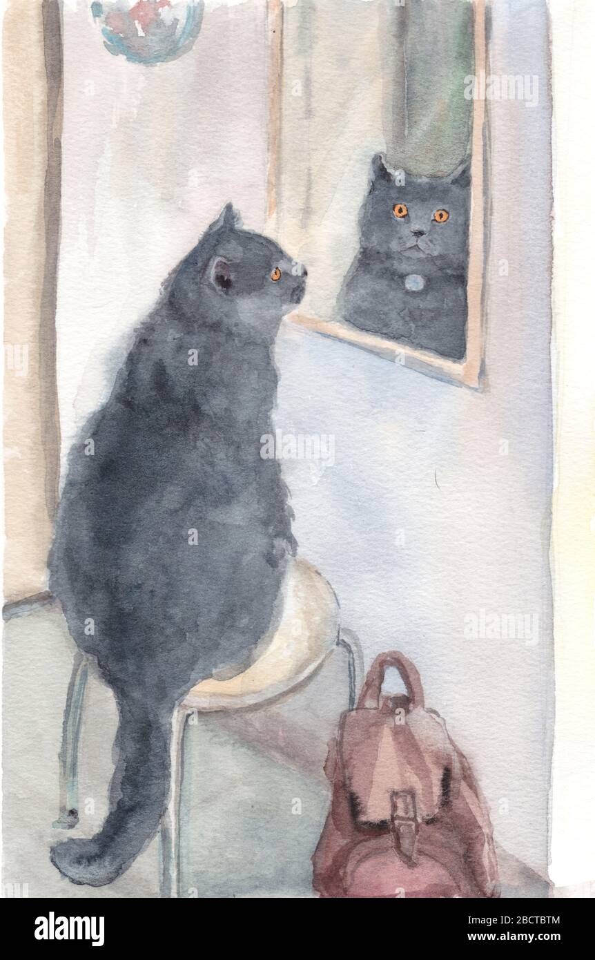 The cat and the mirror, watercolor illustration Stock Photo - Alamy