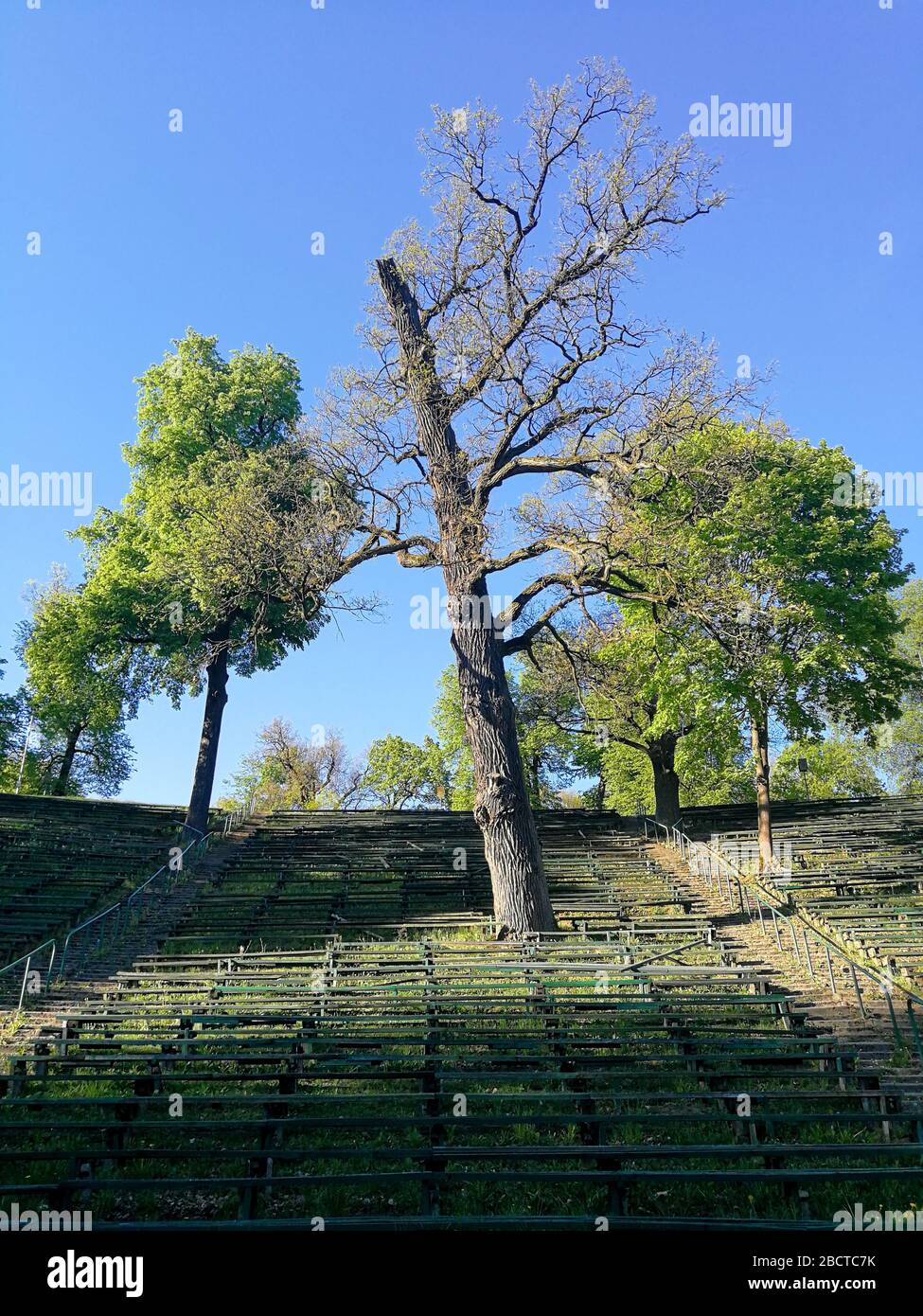 Old oak seats hi-res stock photography and images - Alamy
