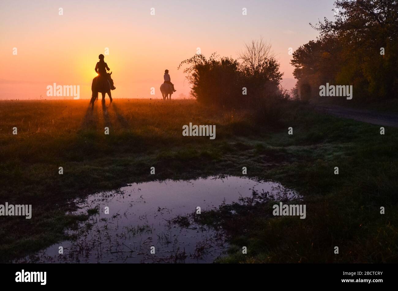 Young girl riding on horse during wonderful calm autumn morning full of ...