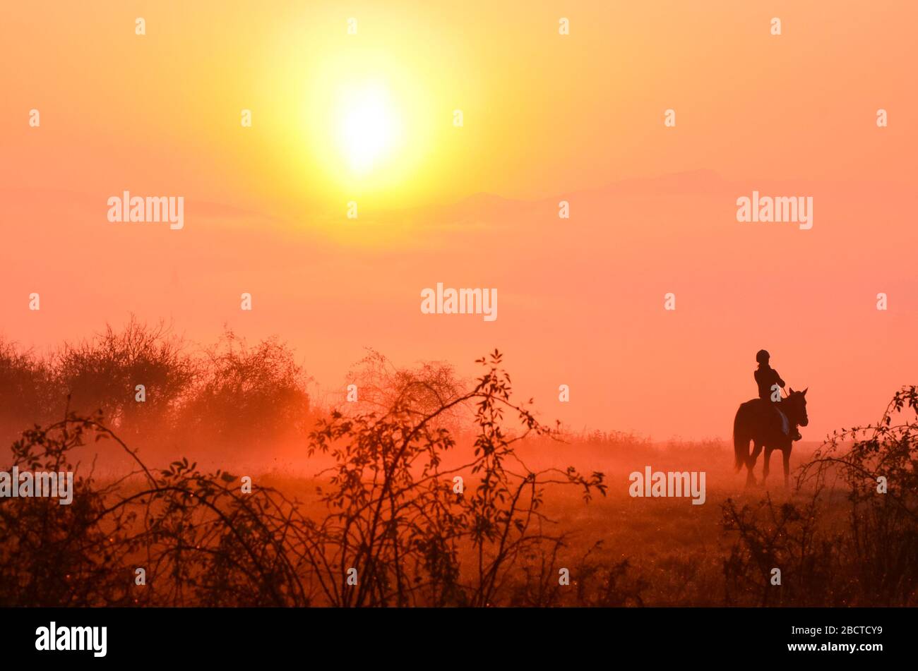 Young girl riding on horse during wonderful calm autumn morning full of ...
