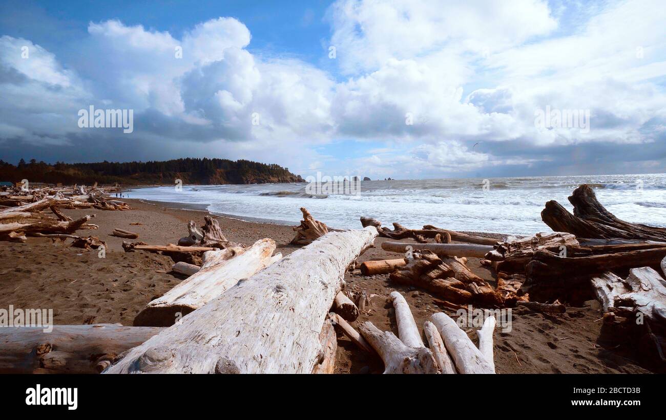 Amazing La Push Beach near Forks - travel photography Stock Photo - Alamy