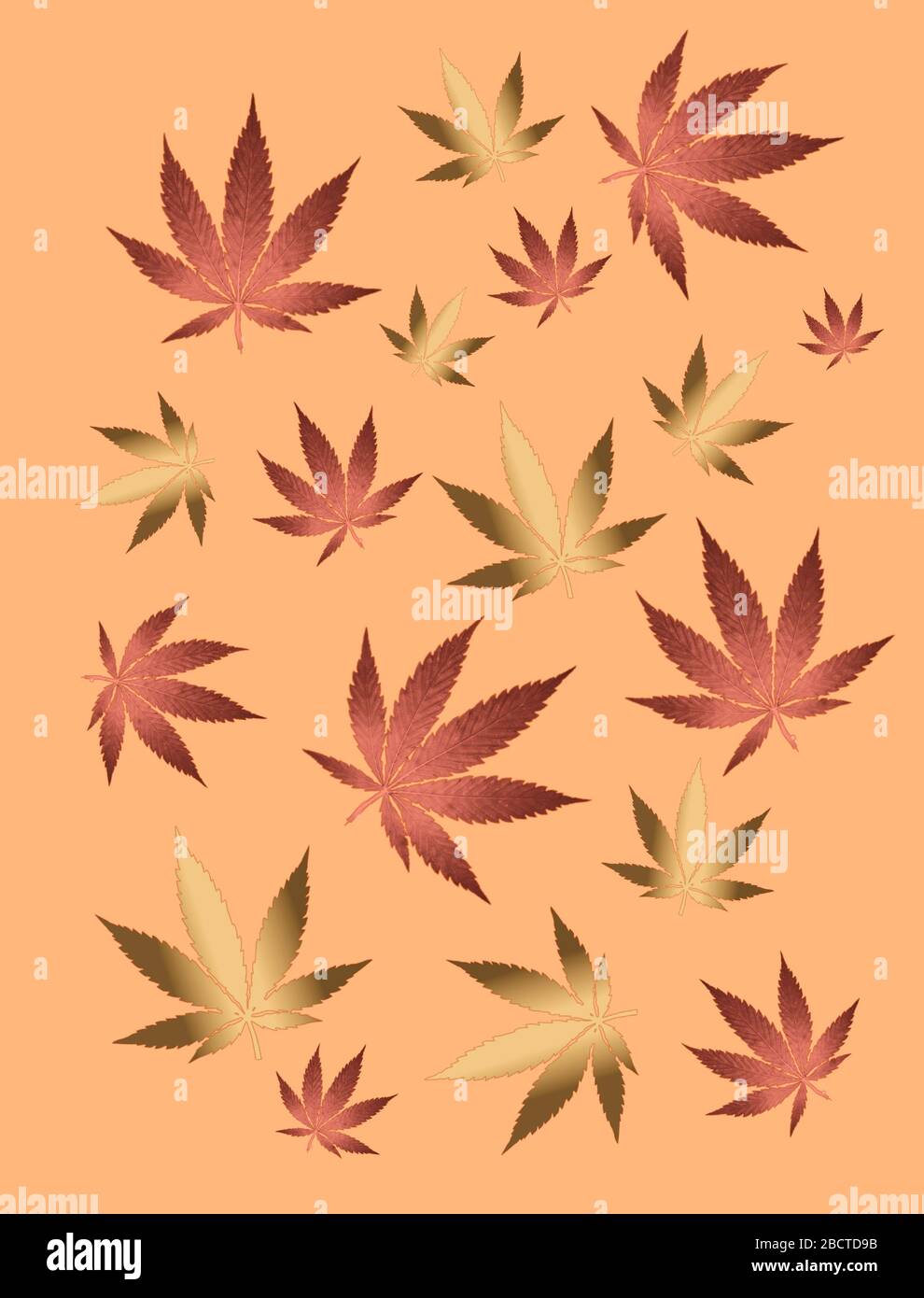 Medicinal cannabis leaves isolated in color background Stock Photo - Alamy