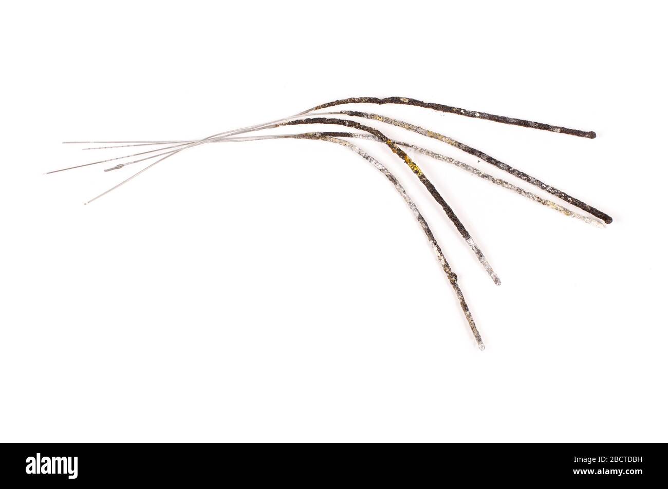 Burnt sparklers after New Years Eve isolated on white background Stock ...