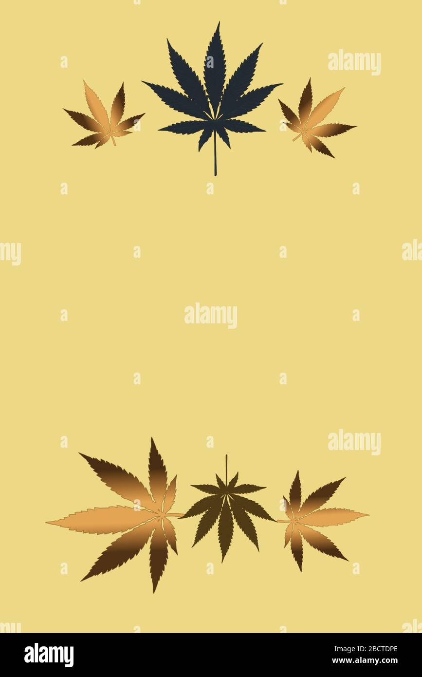 Medicinal cannabis leaves isolated in color background Stock Photo - Alamy