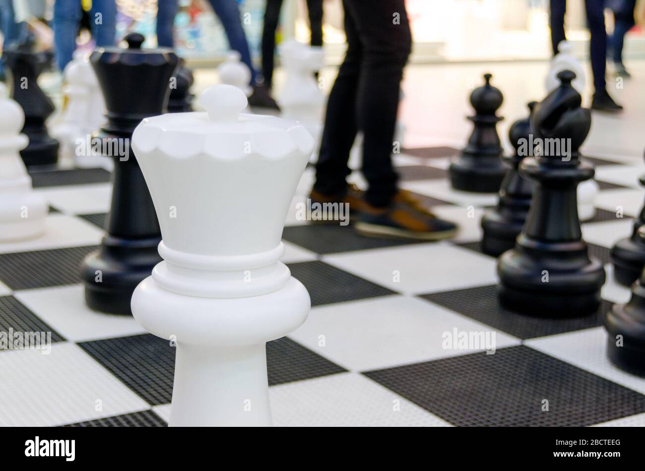 chess piece of a white queen close up. against the background of a ...