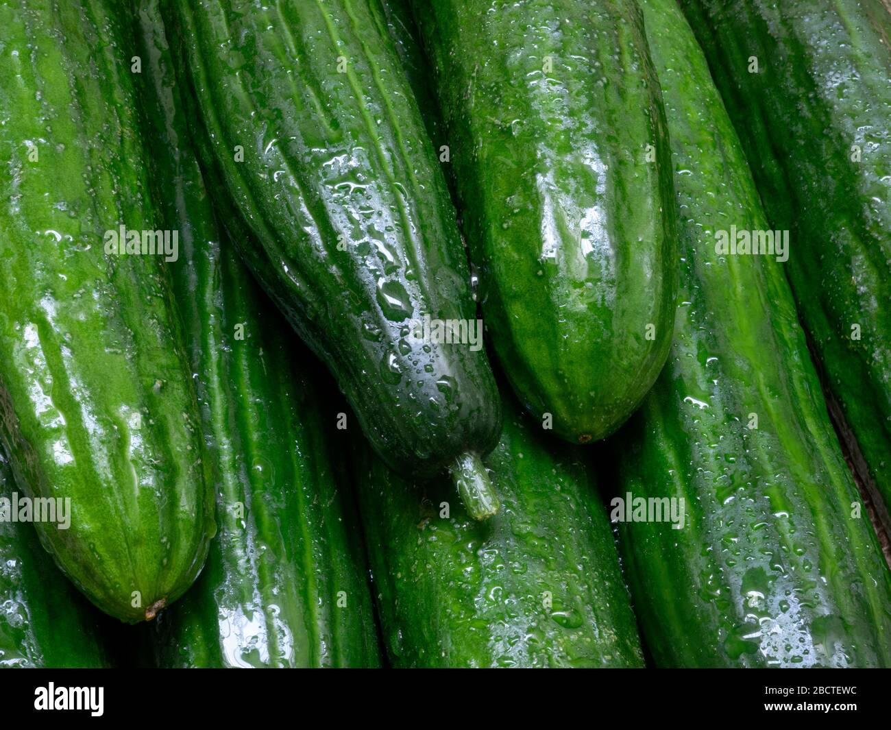 Sliced cucumber top view hi-res stock photography and images - Alamy