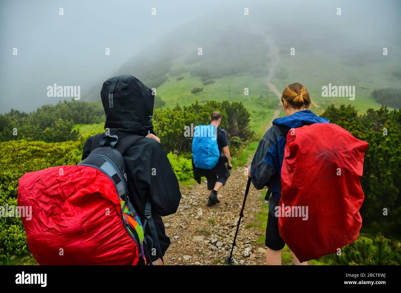 Tree friends walking together in mountains with big rucksack with rain ...