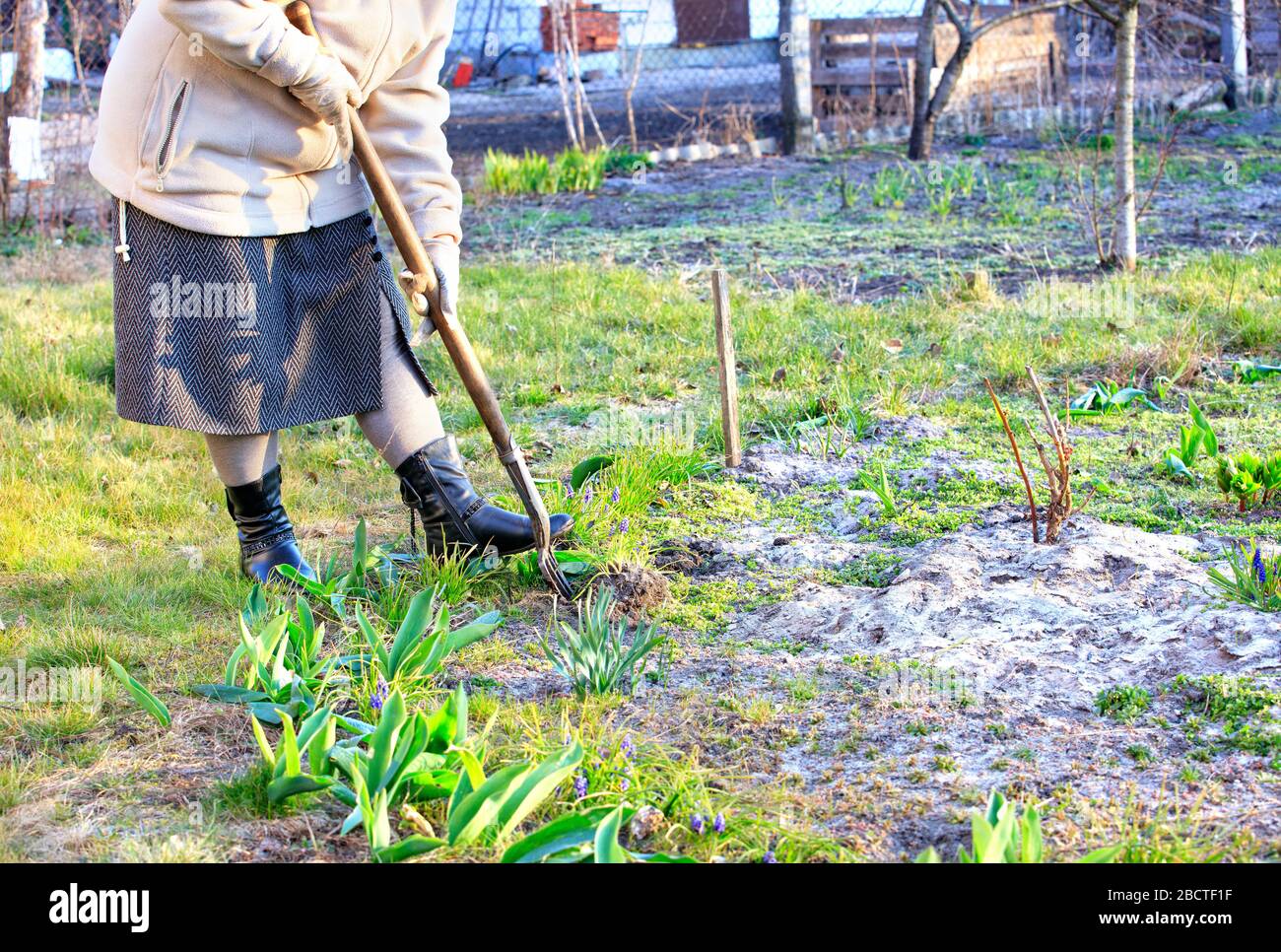 Garden hoe weeds hi-res stock photography and images - Alamy