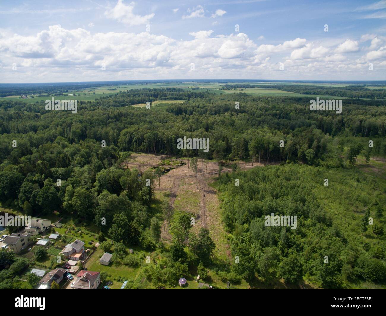 Panoramic aerial view of forest in Lithuania Stock Photo - Alamy
