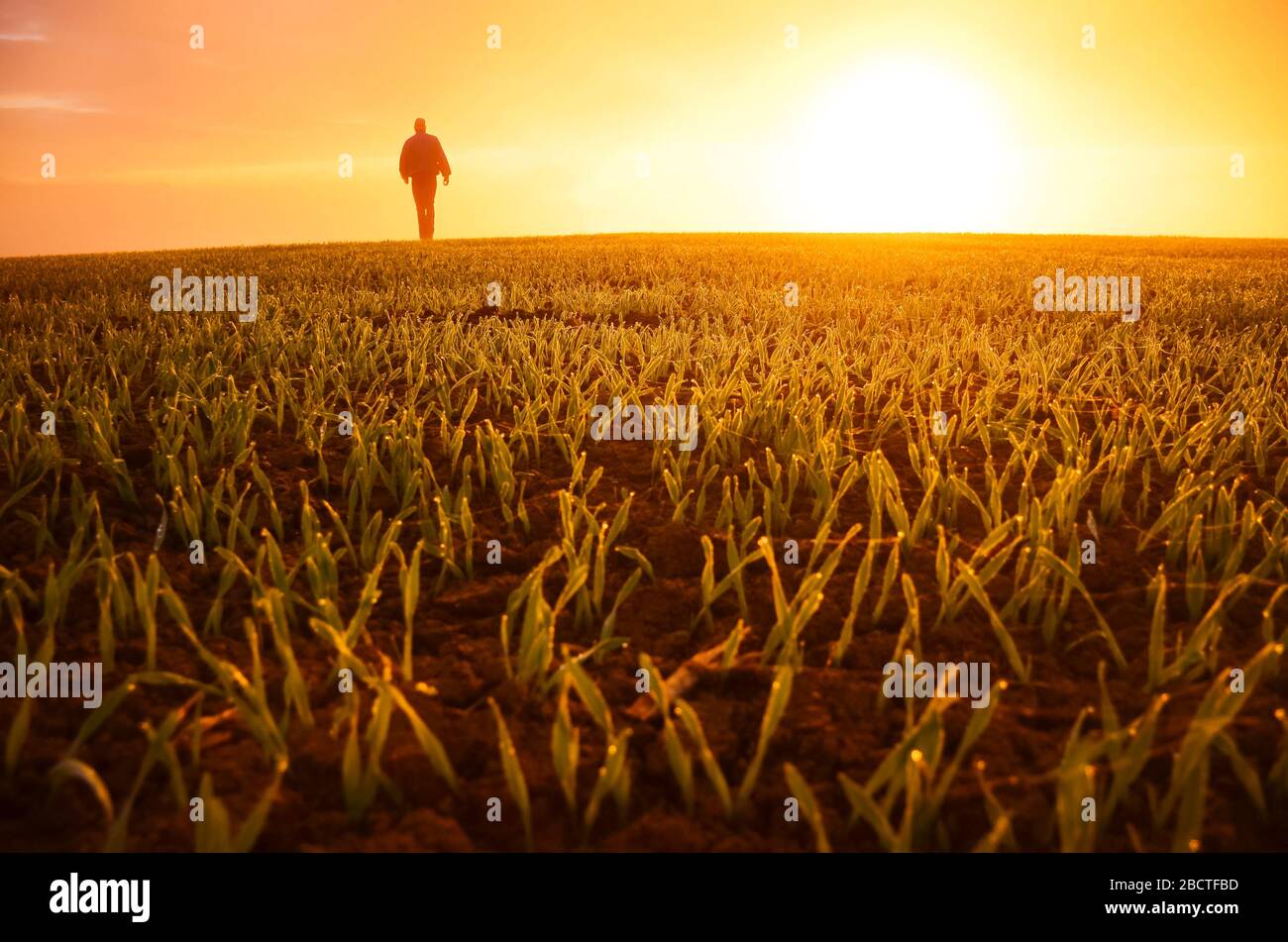 Alone man walk in autumn morning Stock Photo - Alamy