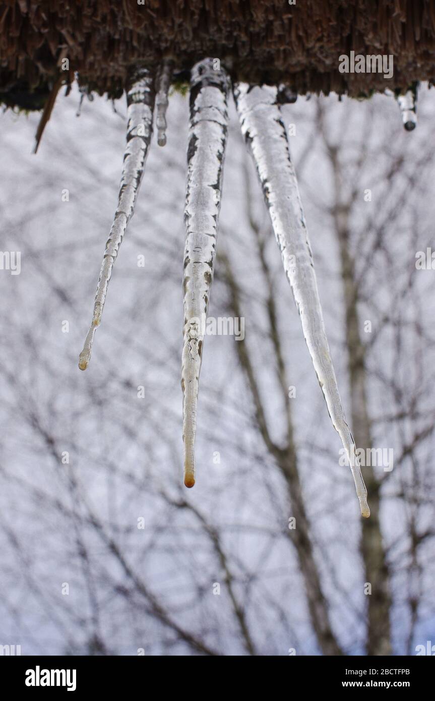 Long icicles on the roof of the house during spring time Stock Photo ...