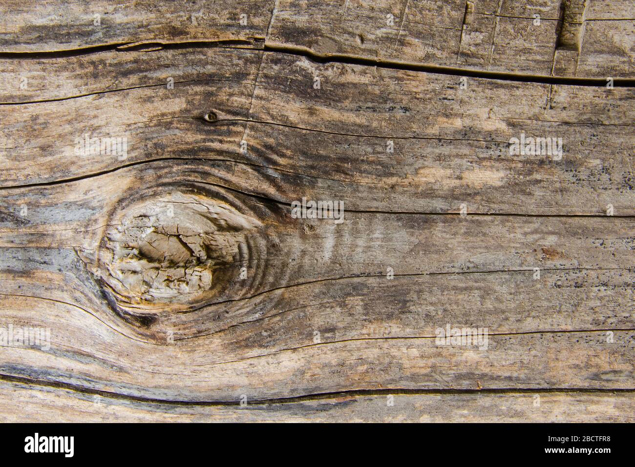 dry old gray wooden log Stock Photo - Alamy