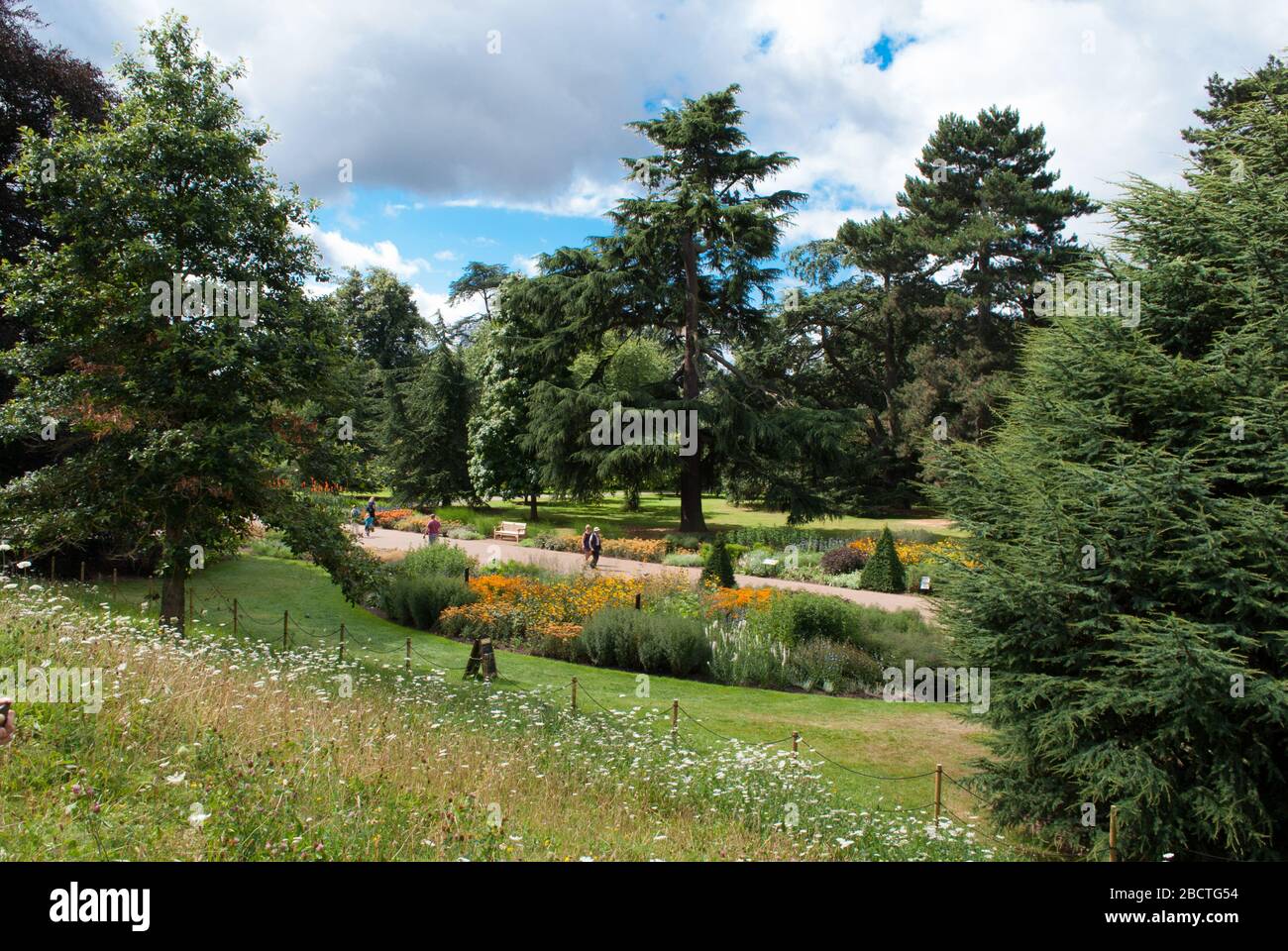 Broad Walk Borders Royal Botanical Gardens Kew Gardens, Richmond ...