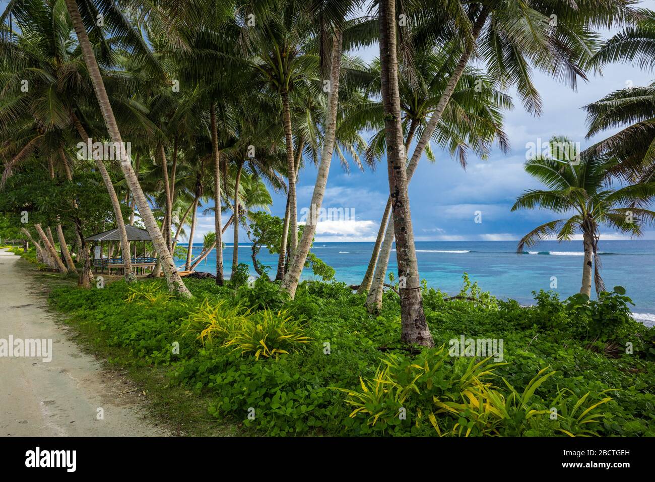 Tropical beach on south side of Samoa Island with coconut palm trees ...
