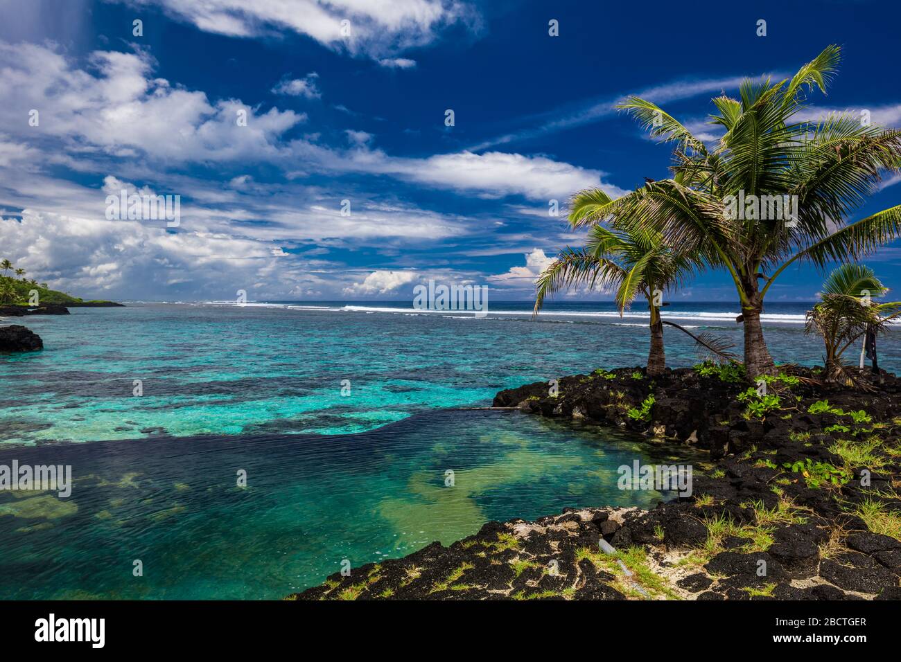 Vibrant tropical beach with palm trees, Upolu, Samoa Stock Photo - Alamy