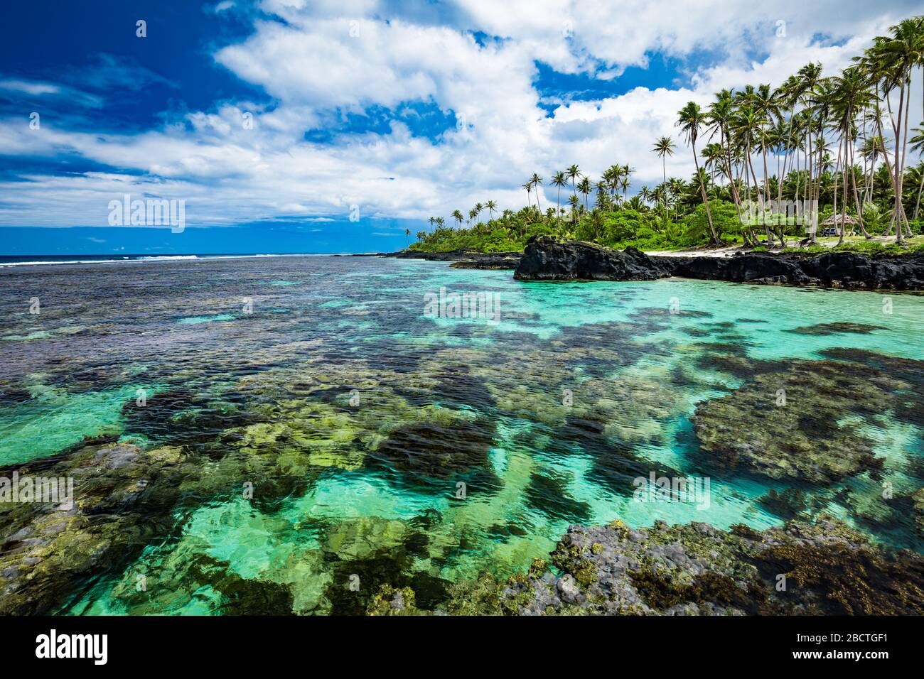 Vibrant tropical beach with palm trees, Upolu, Samoa Stock Photo - Alamy