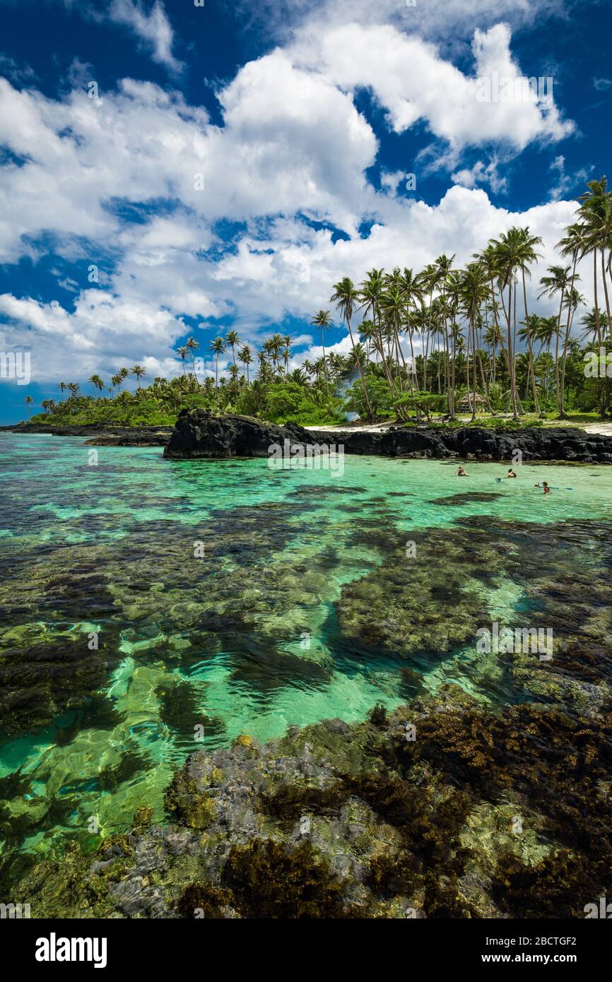 Vibrant tropical beach with palm trees, Upolu, Samoa Stock Photo - Alamy