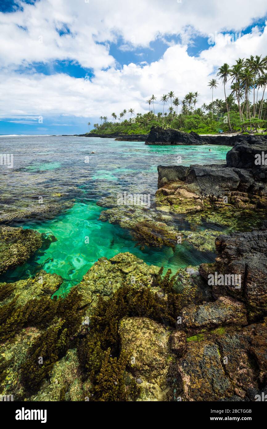 Vibrant tropical beach with palm trees, Upolu, Samoa Stock Photo - Alamy