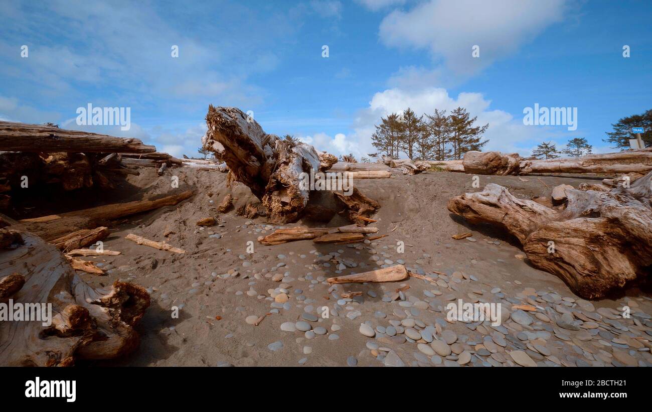 Great nature at La Push - The Beach at Quileute Reservation - travel ...
