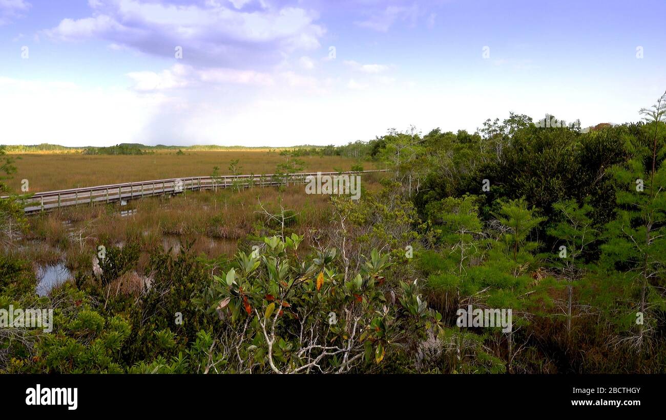 Walking through the Everglades National Park in USA Stock Photo - Alamy