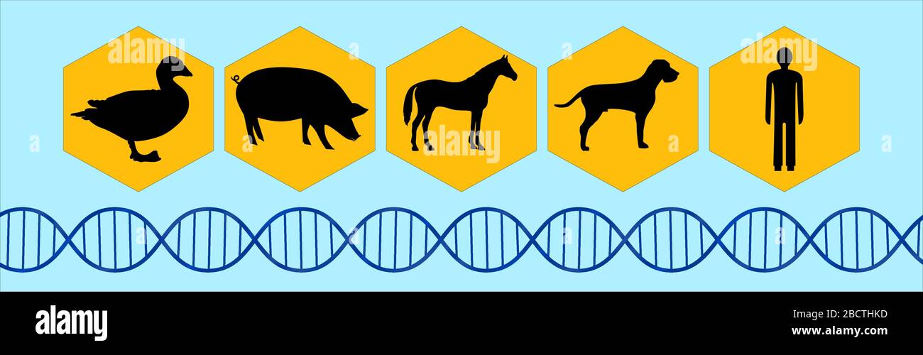 Graphic symbols of several mammals arranged in a row on one board Stock ...