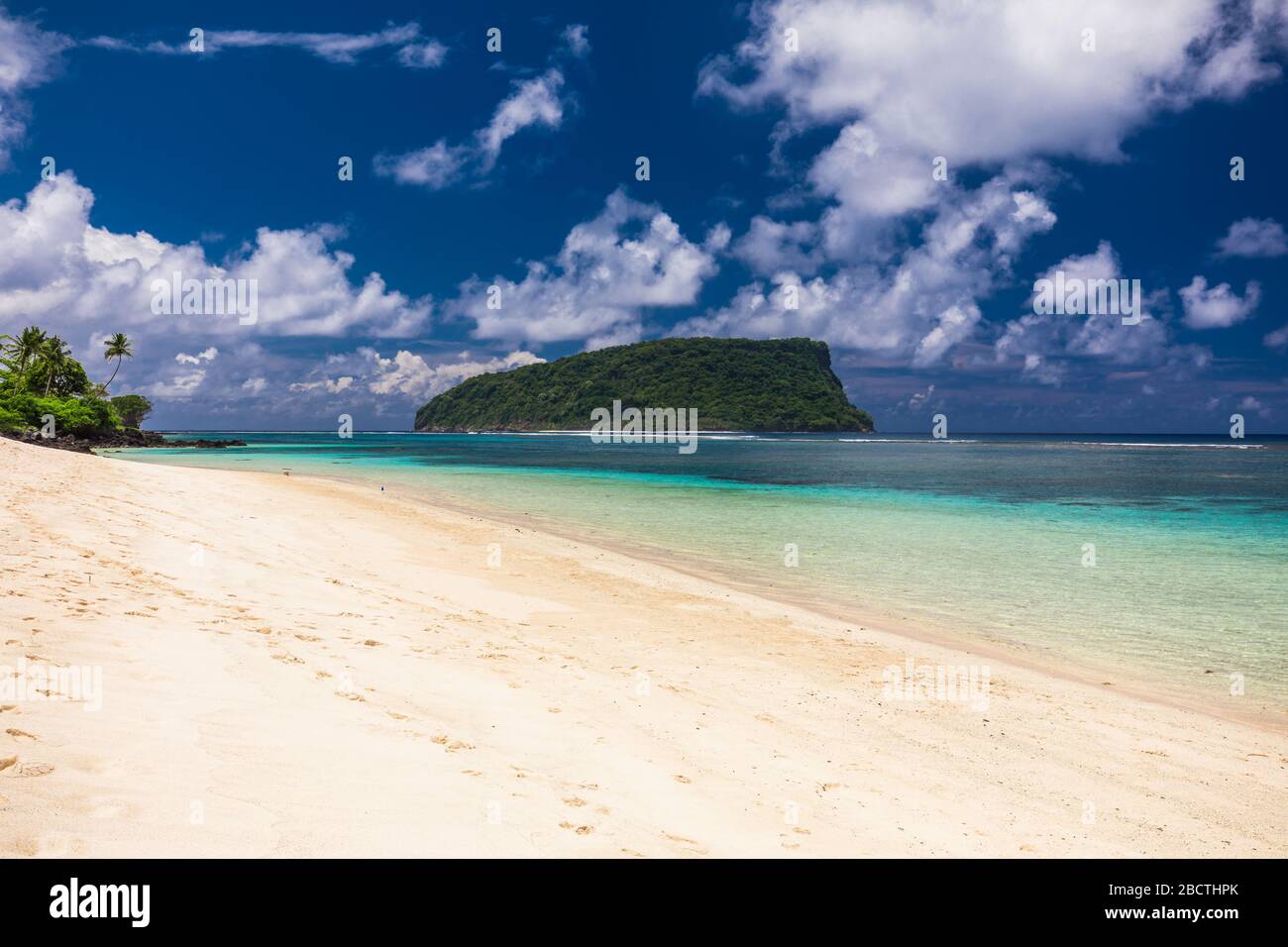Tropical beach on south side of Samoa Island with coconut palm trees ...