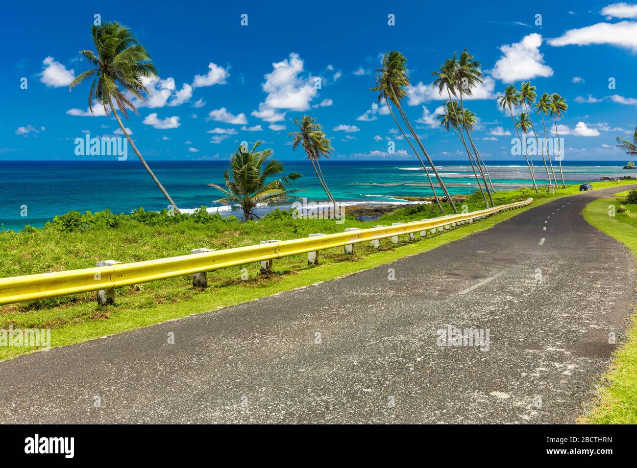 Tropical beach on south side of Samoa Island with coconut palm trees ...