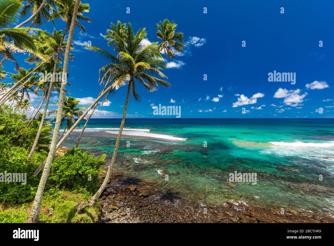 Tropical beach on south side of Samoa Island with coconut palm trees ...