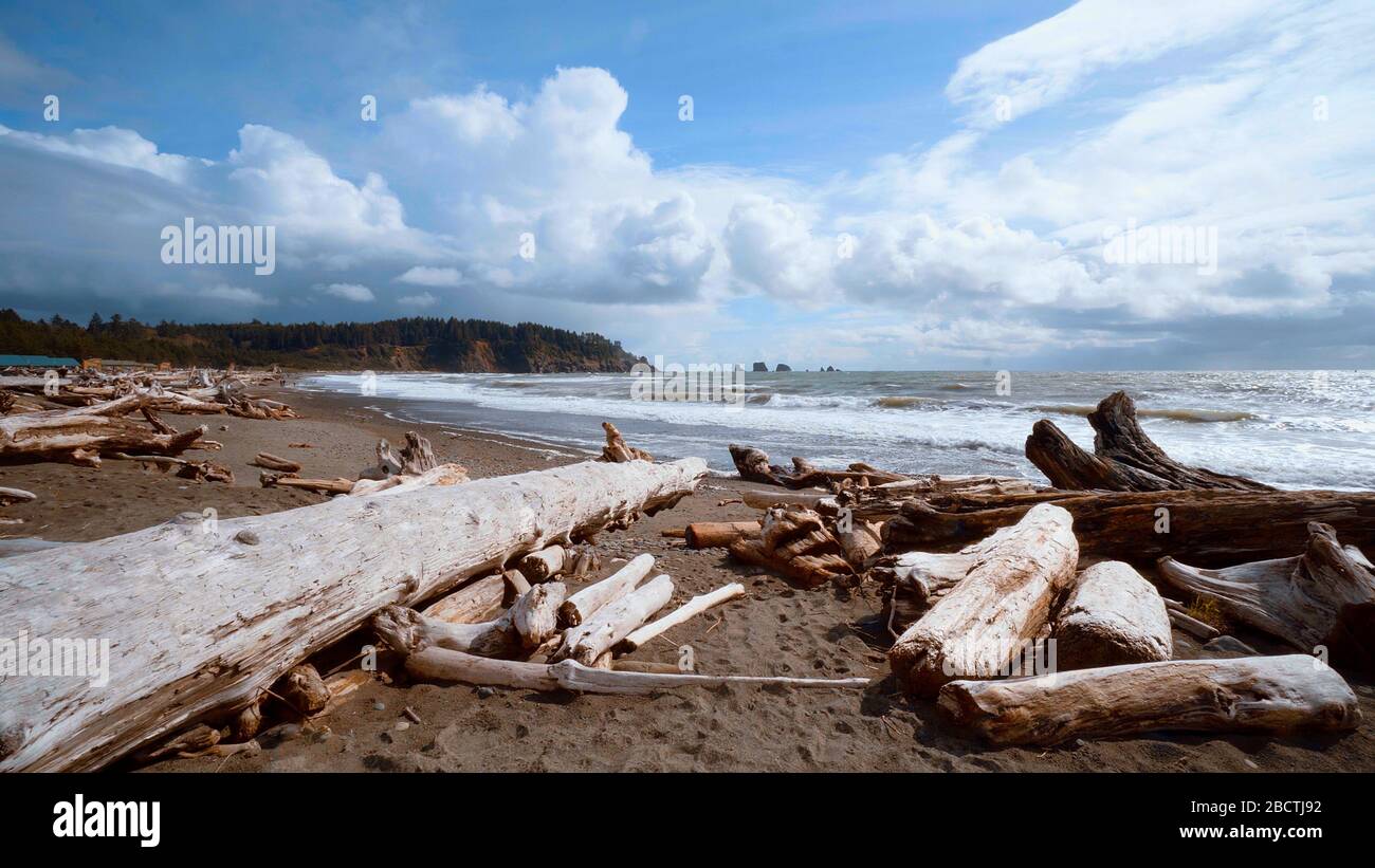 La Push - the famous beach at the Quileute Reservation - travel ...