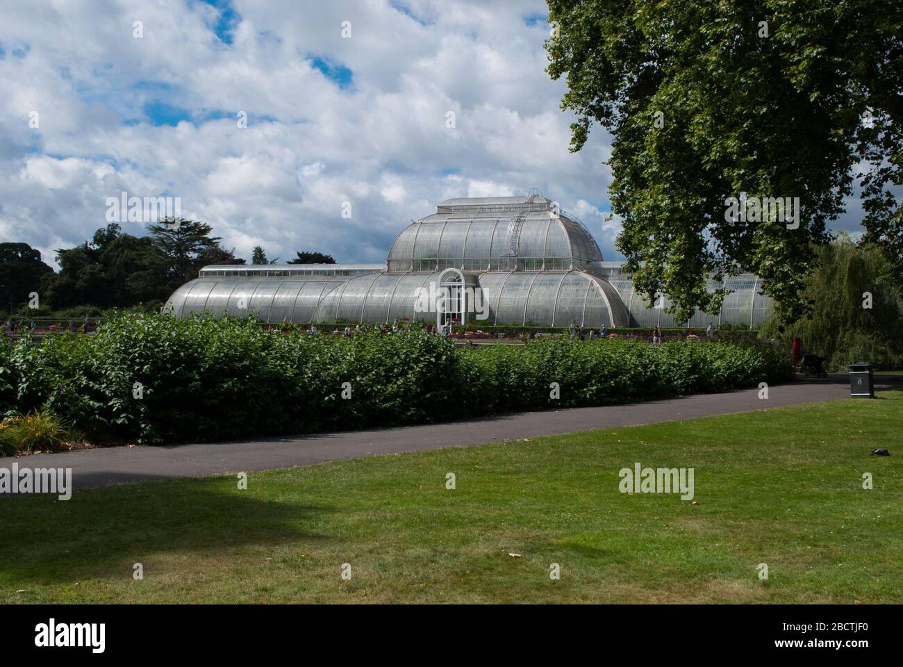 Palm House by Decimus Burton Victorian Glasshouse at Royal Botanic ...