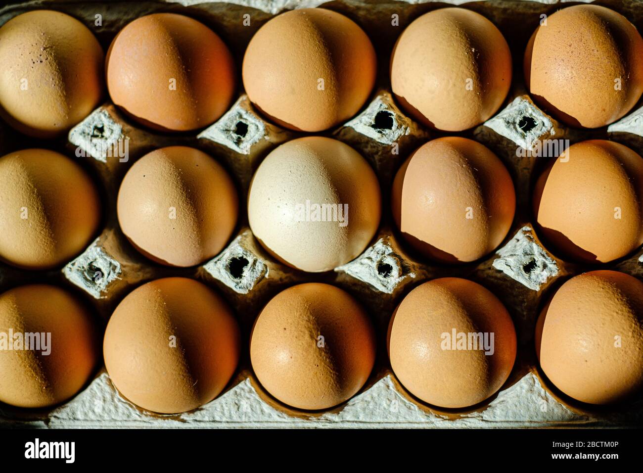 15 eggs in a carton in close-up Stock Photo - Alamy