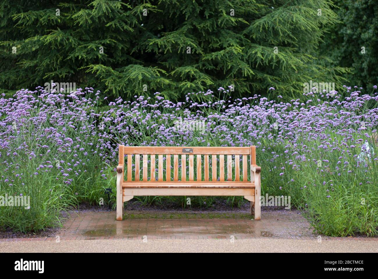 Broad Walk Borders Royal Botanical Gardens Kew Gardens, Richmond ...