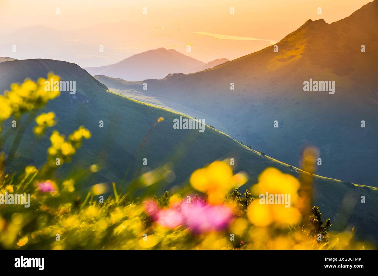 layers of mountains in soft sunrise colors - nature desktop background ...