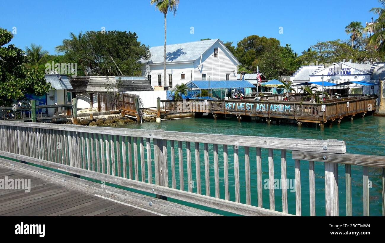 Key west aquarium hi-res stock photography and images - Alamy