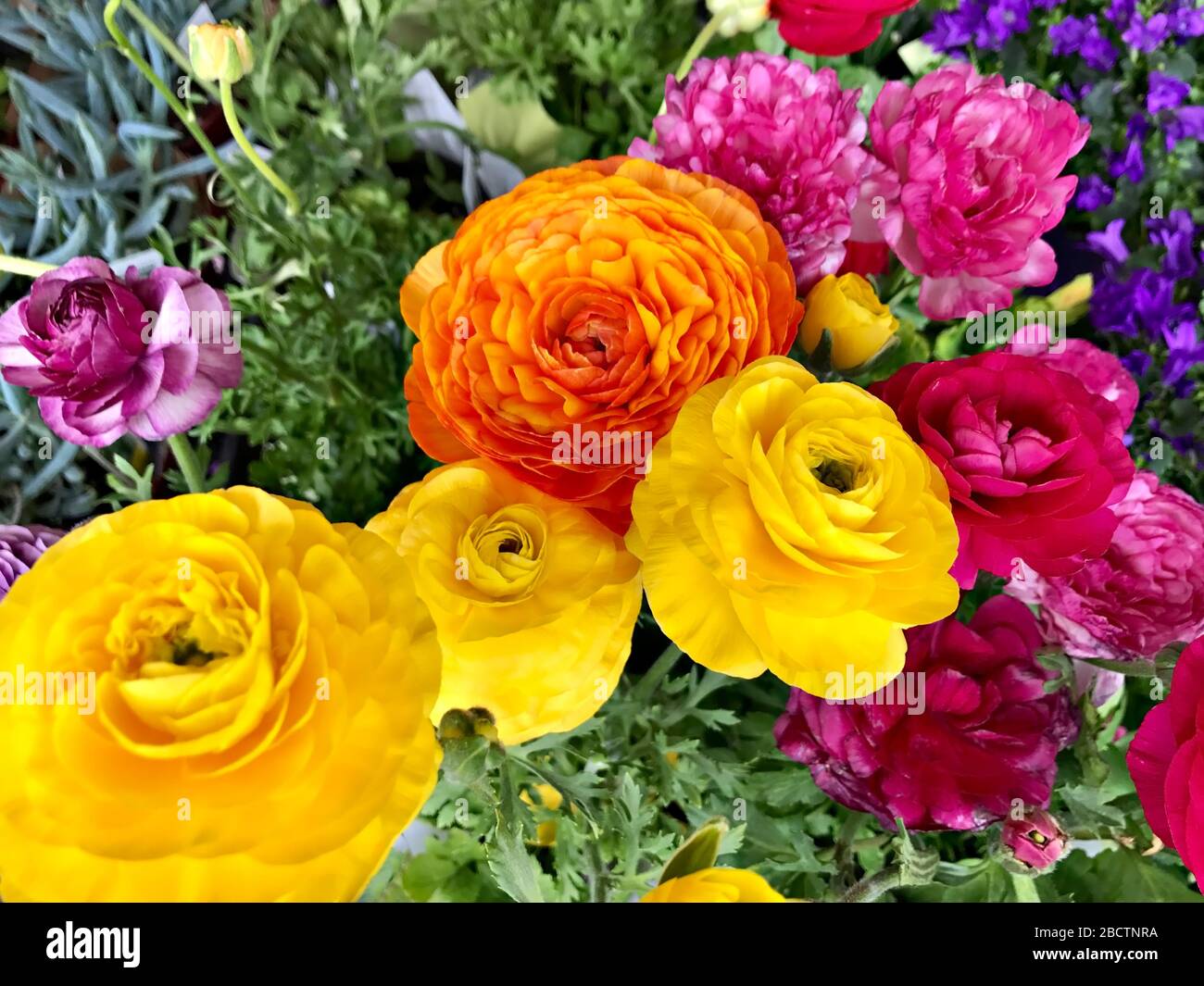 Leaves for bouquets hi-res stock photography and images - Alamy