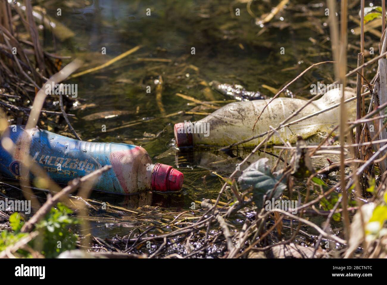 Water pollution discarded food containers two plastic bottles in pond ...