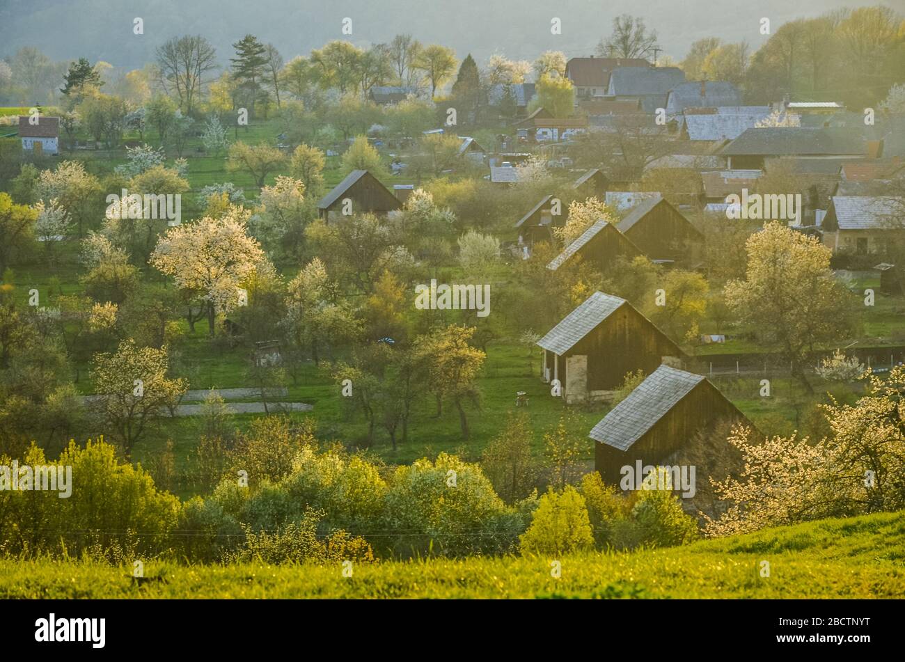 spring over village - church and houses - rural scenery - nature with ...
