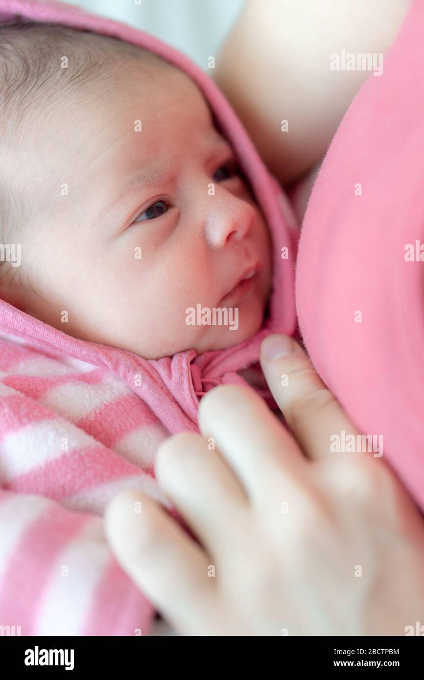 Newborn in the arms of mom. Portrait of a newborn baby. Close-up face ...