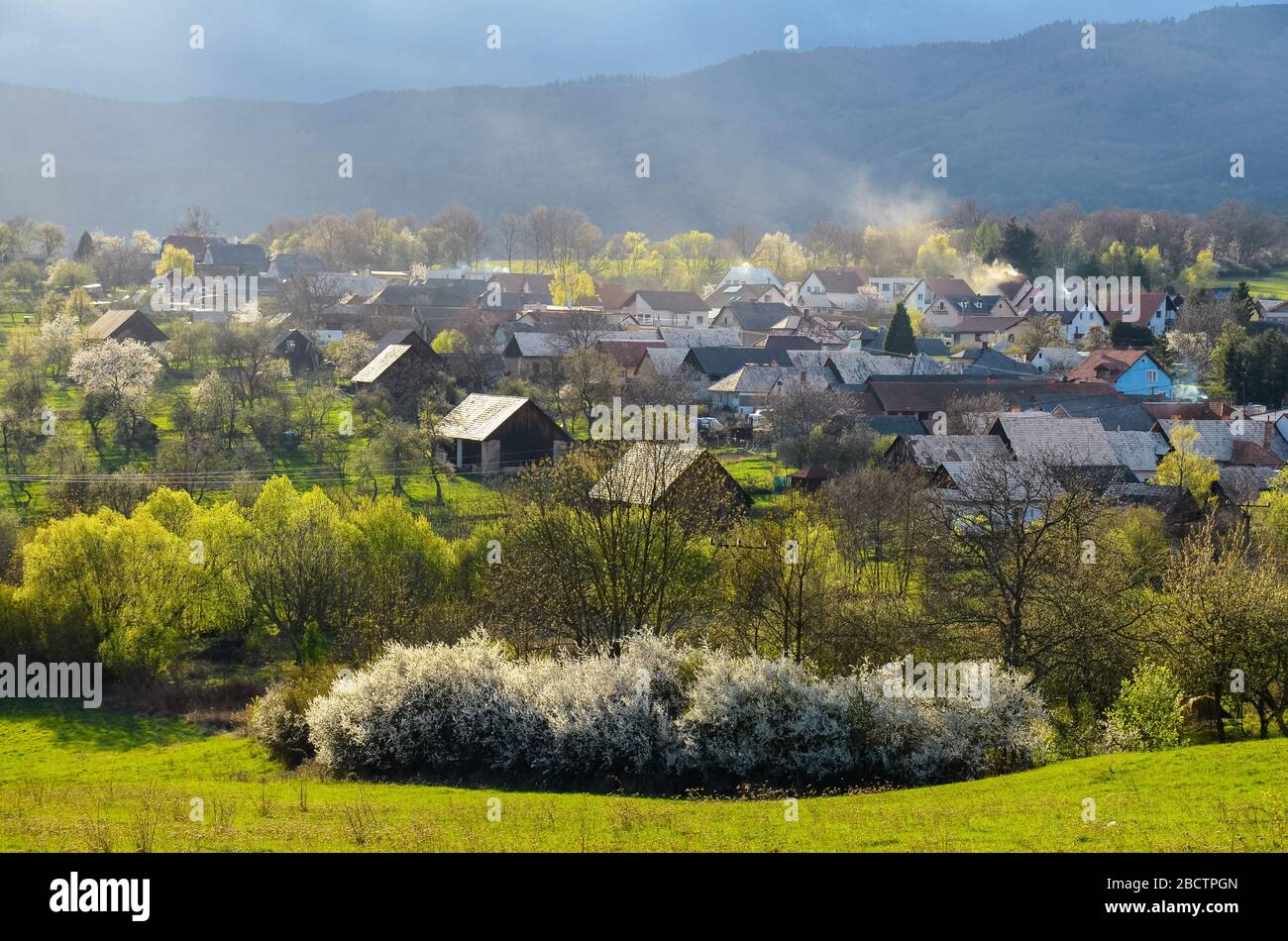 Beautiful spring rural landscape, yellow agricultural field, church and ...