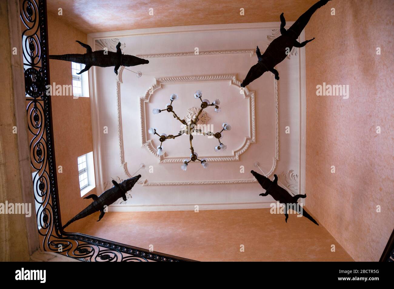 Town halls four crocodiles hi-res stock photography and images - Alamy