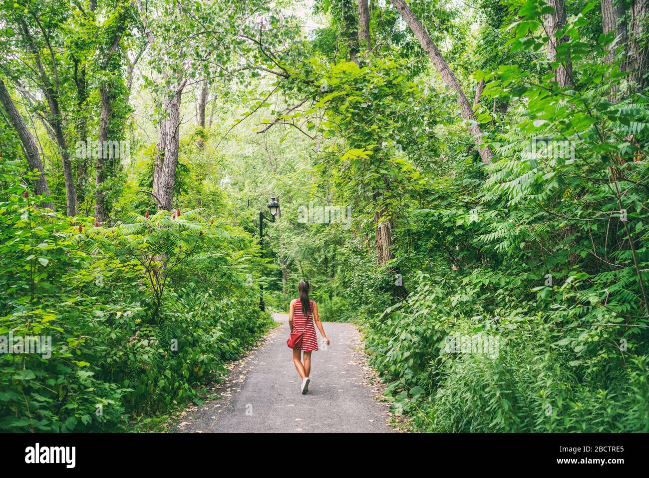 Outdoor summer walk in nature forest park girl enjoying outdoors ...