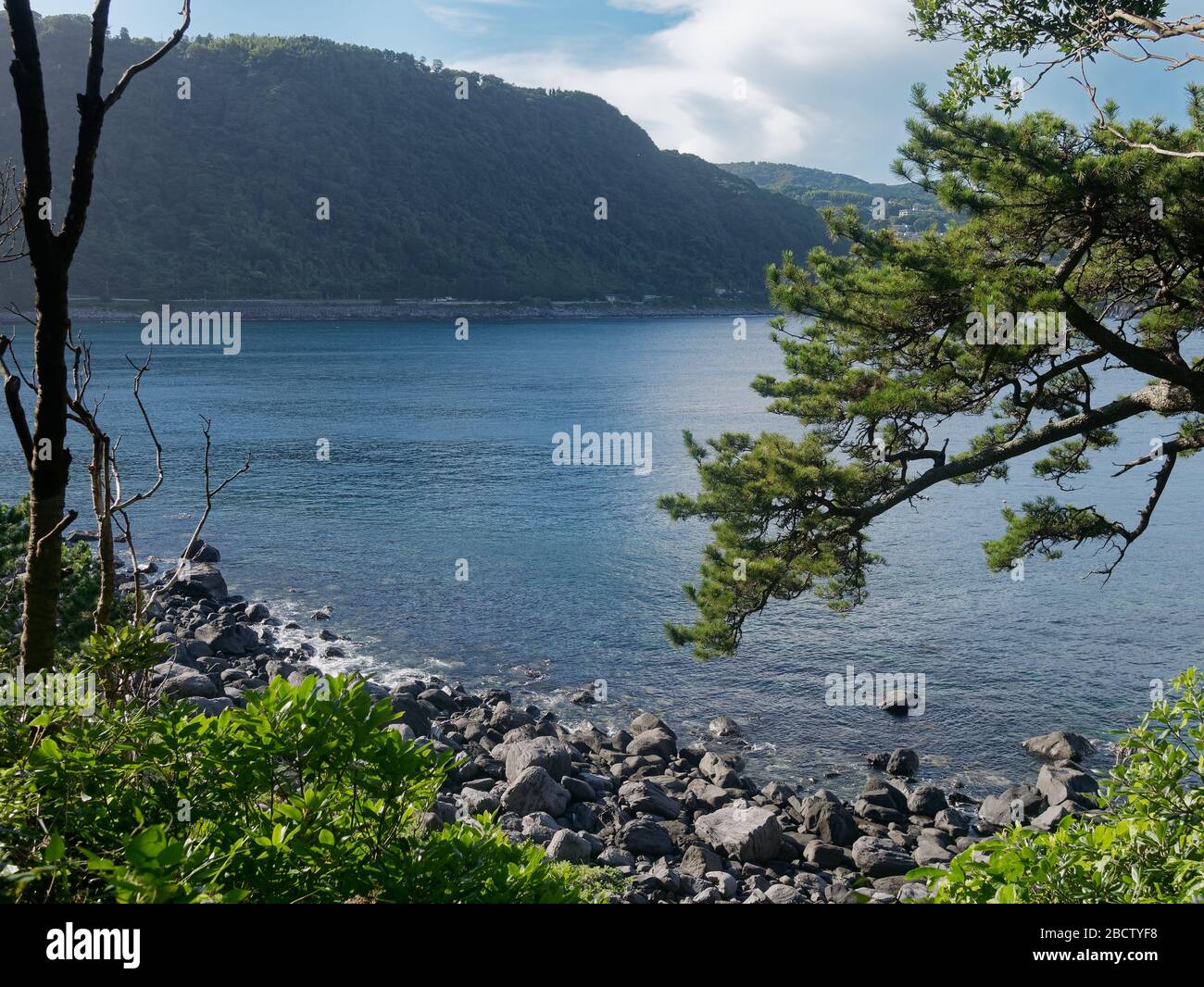 View of rocky beach and bay at sunset in Jogasaki coast in Izu, Japan ...
