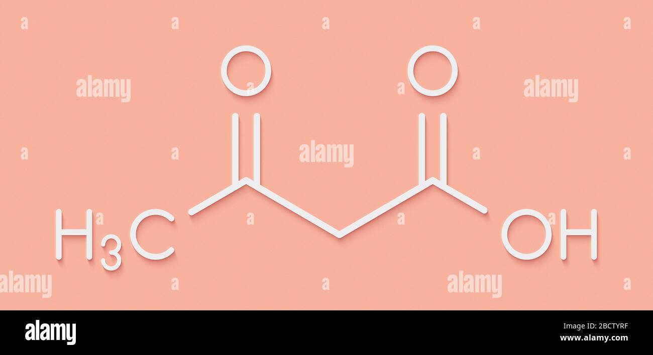 Ketone body (acetoacetic acid, diacetic acid) molecule. Skeletal ...