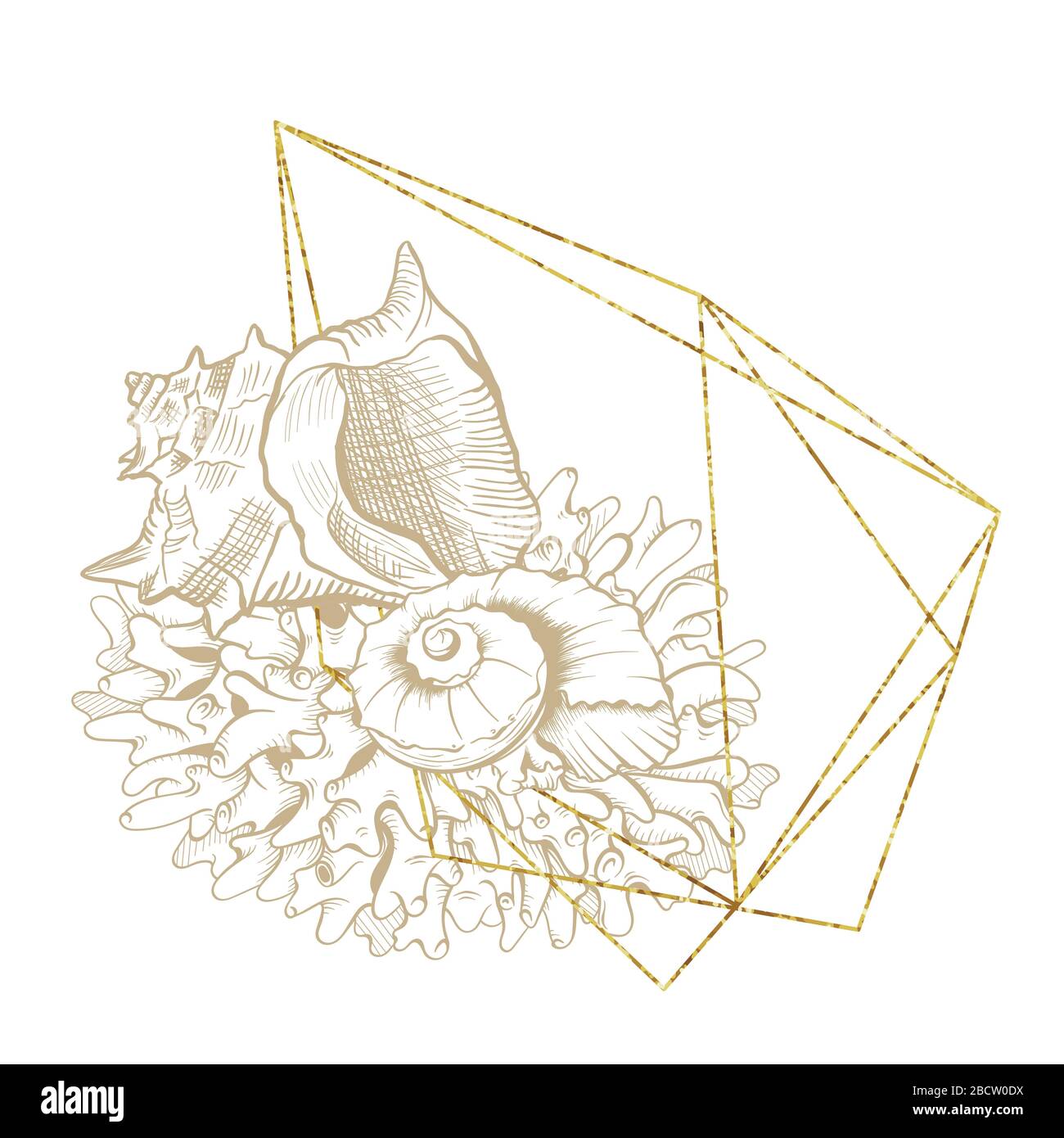 Seashell sketch etching in gold geometric crystal frame, vector wreath ...