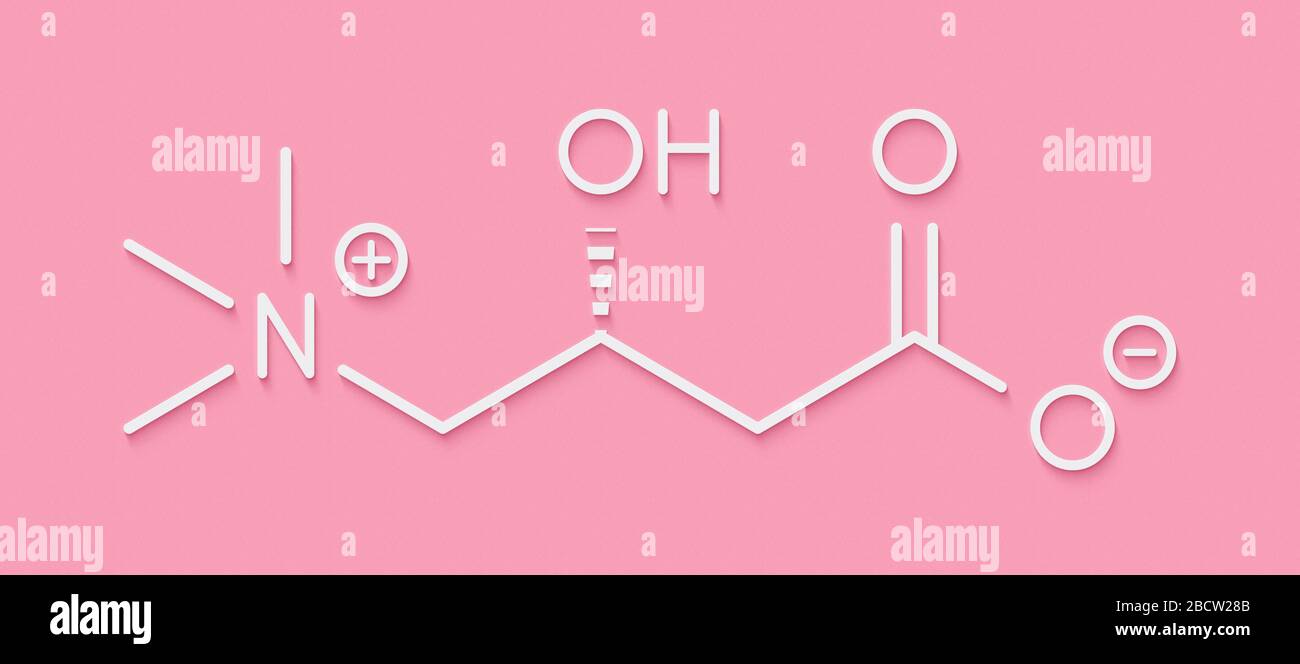 Carnitine food supplement molecule, chemical structure Skeletal formula ...