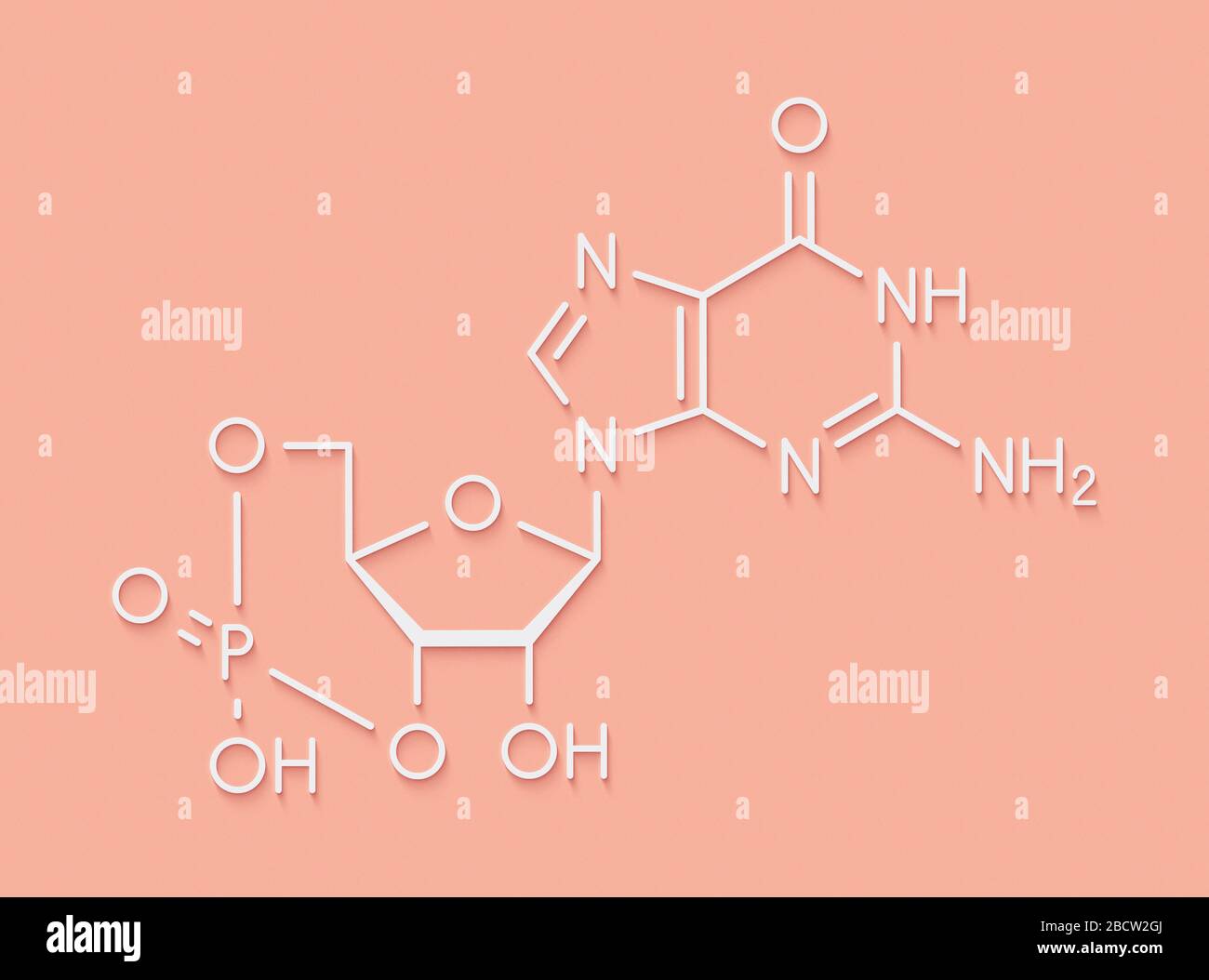 Cyclic guanosine monophosphate (cGMP) molecule. Important second ...
