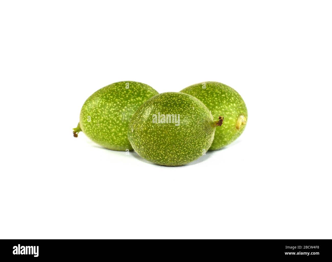 Walnut isolated on white background. Green young walnut. Nut in shell ...
