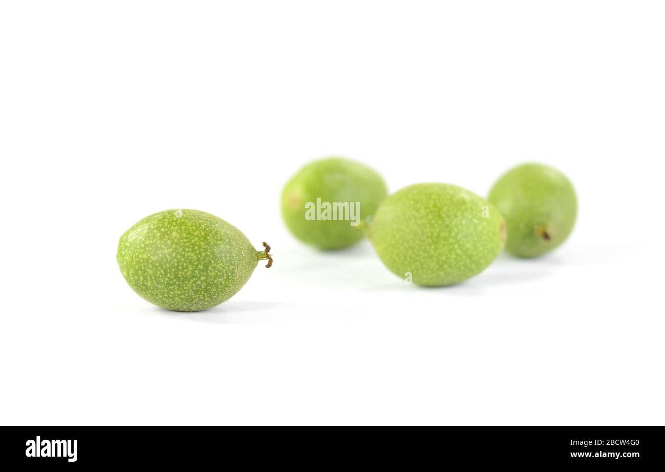 Walnut isolated on white background. Green young walnut. Nut in shell ...