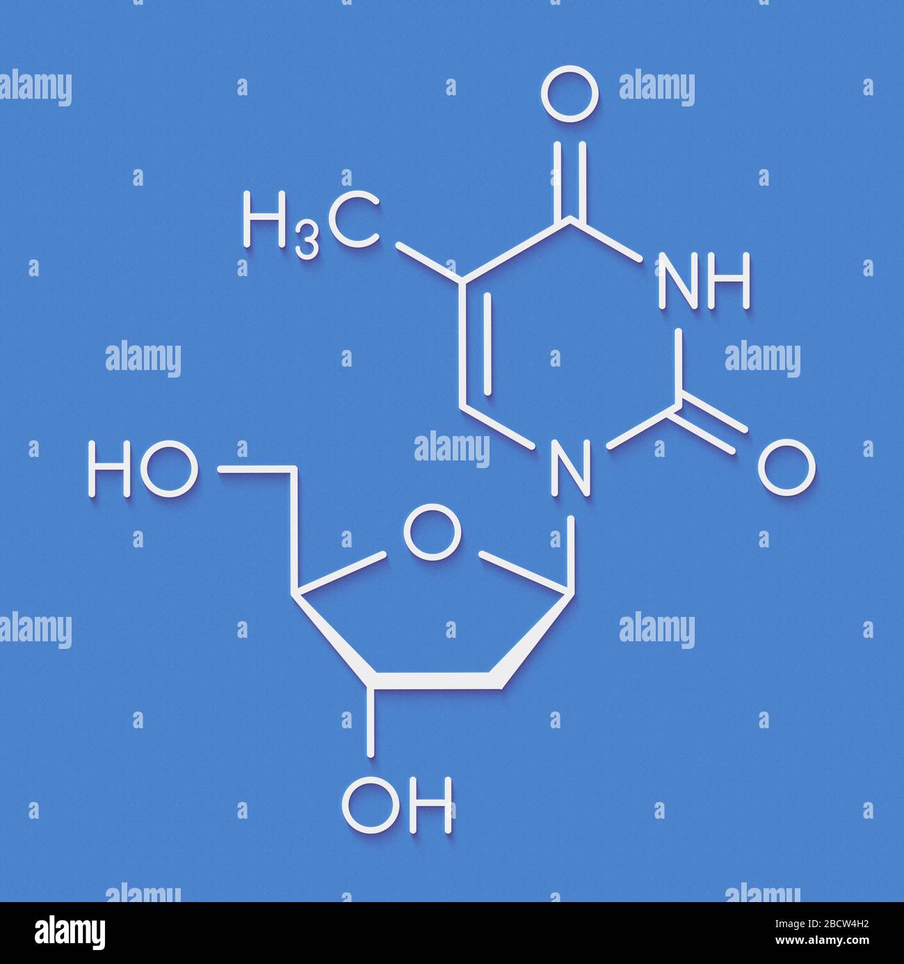 Thymidine (deoxythymidine) nucleoside molecule. DNA building block ...